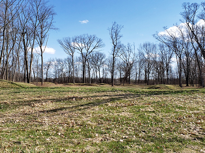 Open fields provide context for the surrounding woodland, much as modern archaeology provides context for understanding the ancient cultures who created these earthworks.