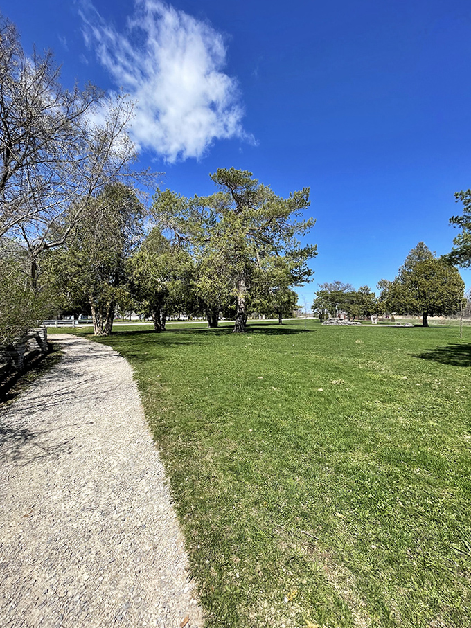 Room to roam, room to breathe &ndash; this open green space invites impromptu frisbee games or lazy cloud-watching sessions.