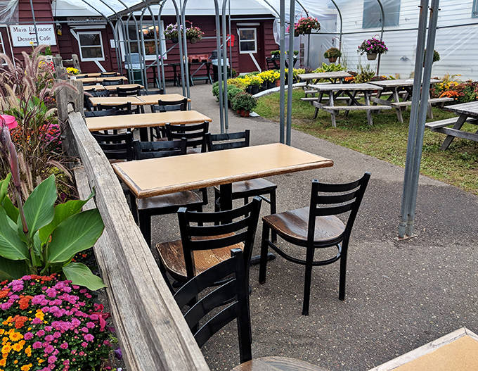 The covered patio offers a perfect blend of outdoors and shelter, where colorful flowers and comfortable seating invite visitors to linger over their apple-inspired treats.