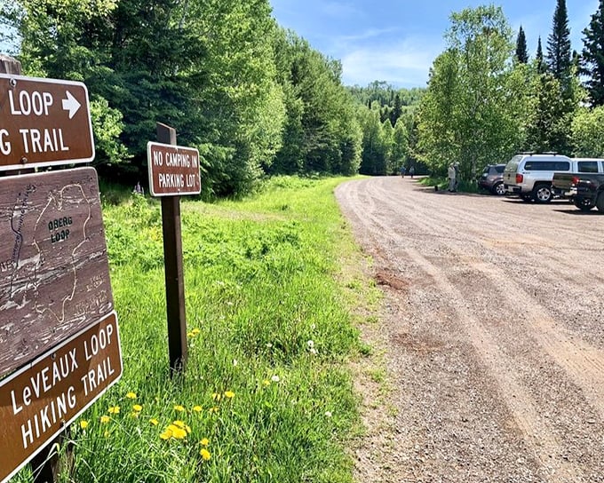 Journey's beginning: The parking area sits quietly, holding no hints of the natural spectacle waiting just beyond.