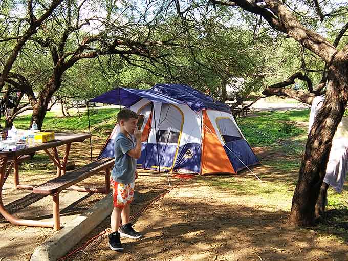 Camping here means waking up to views that make sleeping in a tent feel like luxury.