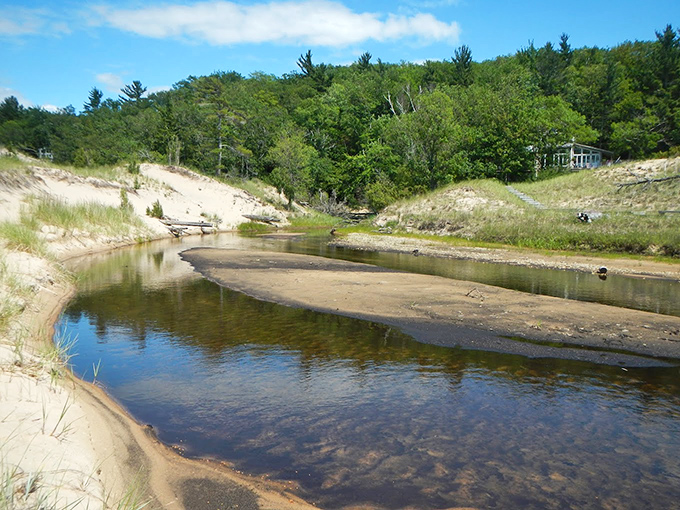 The gentle Platte River creates perfect paddling conditions for families, its clear waters revealing sandy bottoms and occasional fish darting beneath canoes.