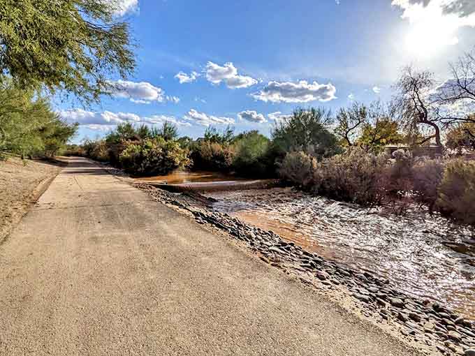 The scenic views prove that you don't need mountains to have a beautiful outdoor experience in the desert.