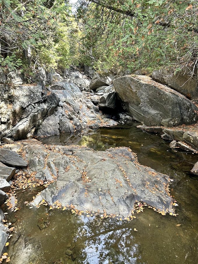 Smooth stones cradle pools of crystal clarity, offering glimpses into underwater worlds where time moves at nature's unhurried pace.