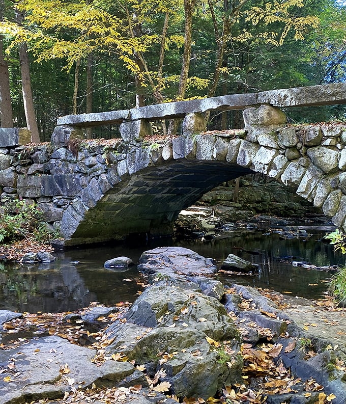 Autumn transforms this stone crossing into something from a painter's dream &ndash; where falling leaves create nature's most spectacular confetti.