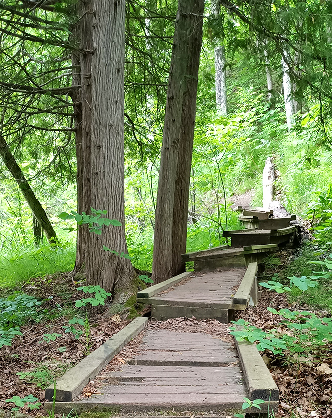 These humble wooden steps lead deeper into the forest's embrace, each one a invitation to discover what lies beyond the next turn.