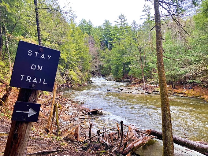 Nature's gentle reminder that the best experiences come from respecting boundaries &ndash; both the trail's and our own.