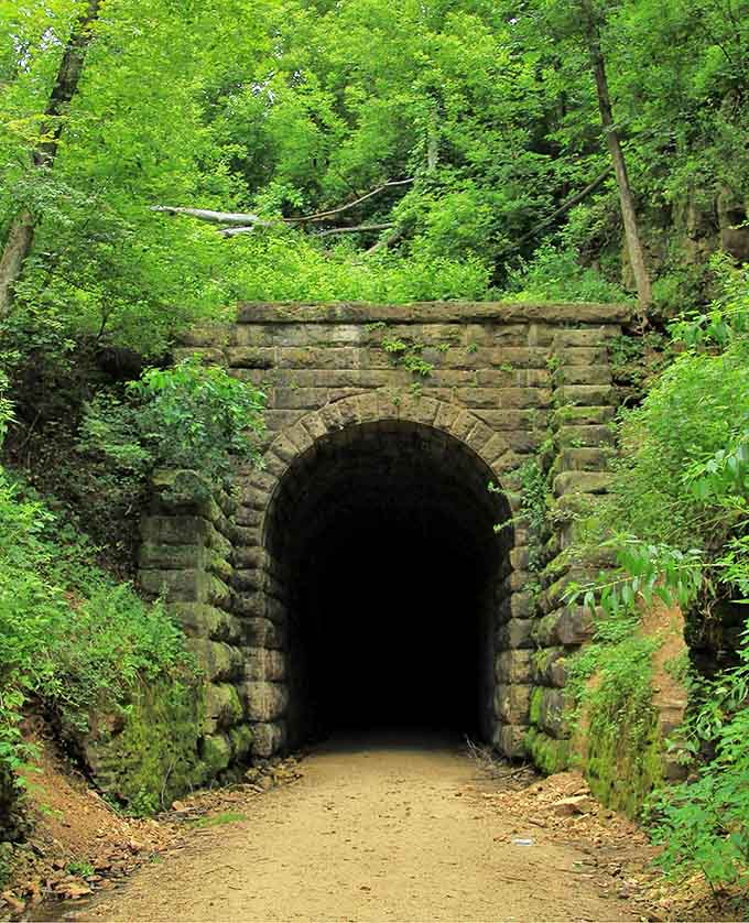 Nature's frame creates a perfect portrait of historical preservation, with sunlight illuminating the tunnel's weathered entrance.