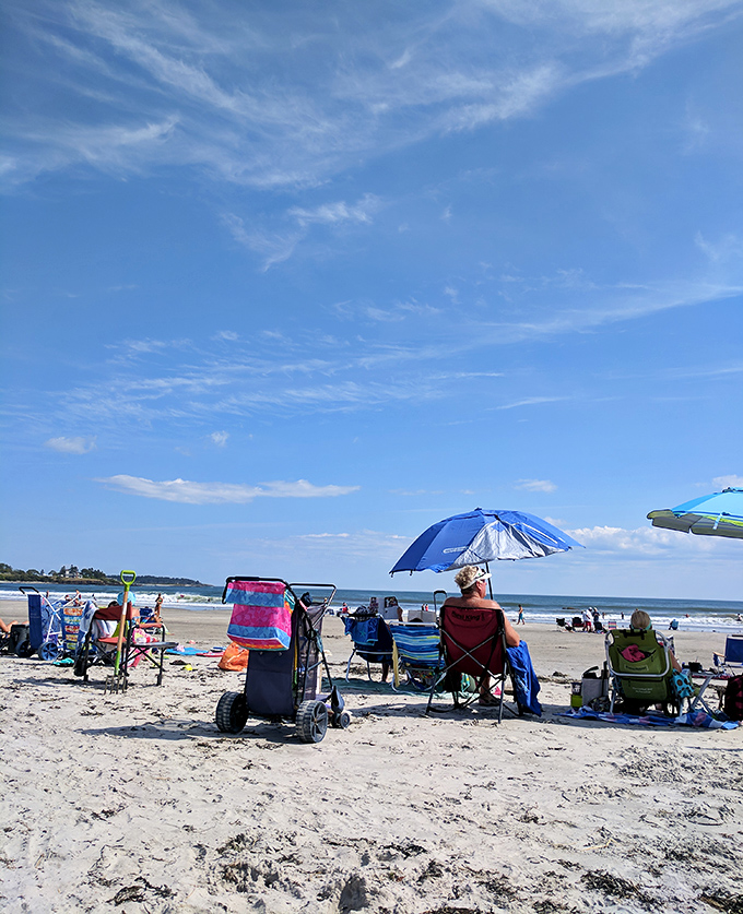Explorers navigate the shipwreck's remains, creating memories more lasting than any souvenir shop trinket.