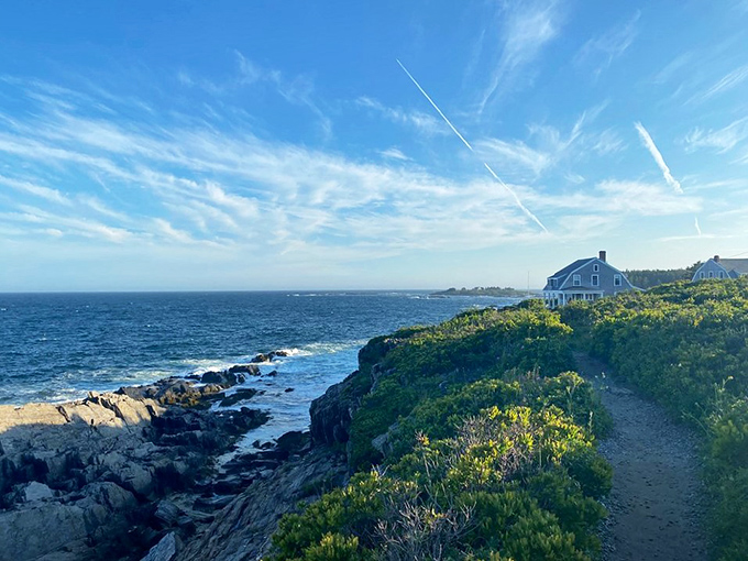 Coastal vegetation clings tenaciously to the cliffs, proving life finds a way even in the harshest conditions.