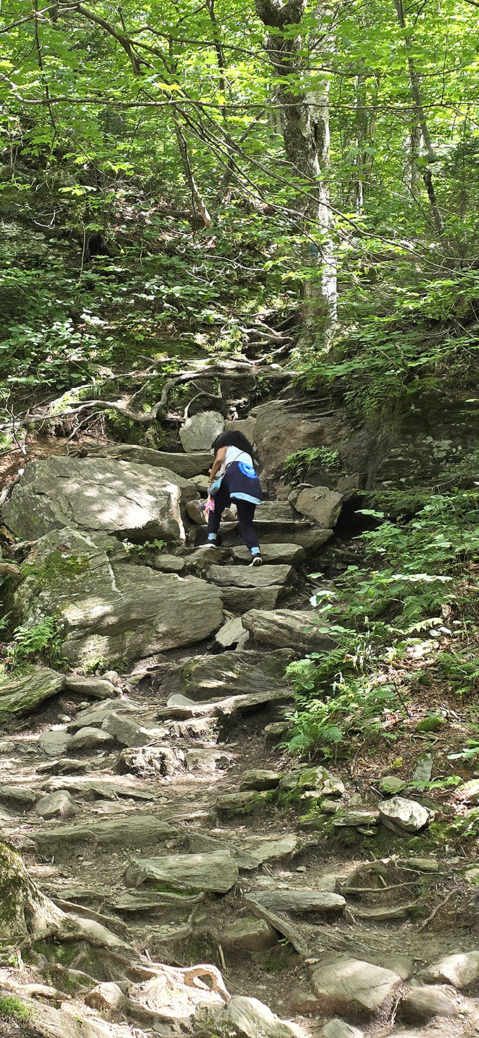 The uphill climb tests resolve and quad muscles equally, with tree roots providing nature's version of a handrail.