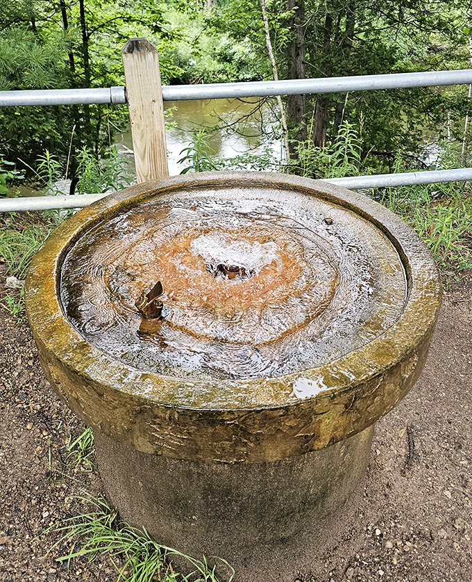 This artesian well bubbles up nature's own refreshment, a mineral-rich reminder that the best things in life aren't bottled or branded.