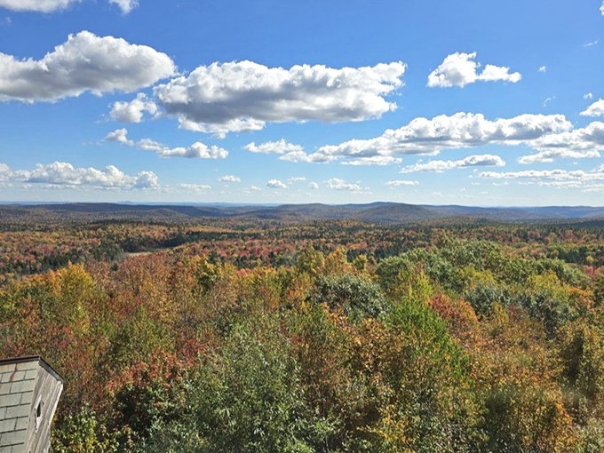 Autumn's masterpiece: when Vermont's hills transform into a patchwork quilt sewn with threads of gold, crimson, and amber.