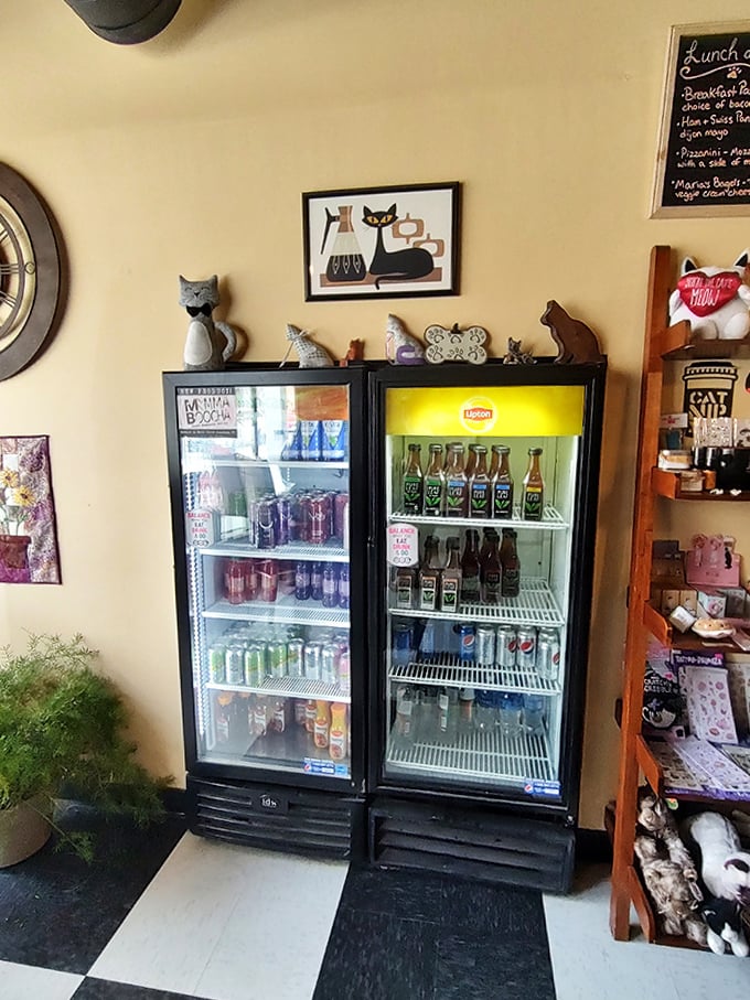 Cat collectibles and memorabilia line the walls, creating a cozy atmosphere for both human and feline visitors.
