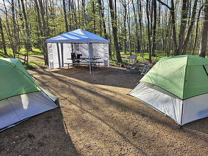 Campers create their temporary village beneath towering trees, where nights are serenaded by distant rapids and mornings begin with birdsong alarms.