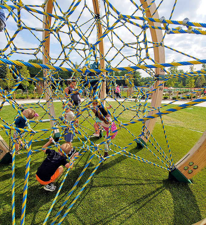 Joy in motion! Children navigate the climbing structure, creating their own pathways through a three-dimensional web of possibilities.