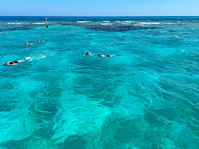 Crystal waters reveal a snorkeler's paradise below &ndash; like swimming in nature's own aquarium, minus the glass walls.