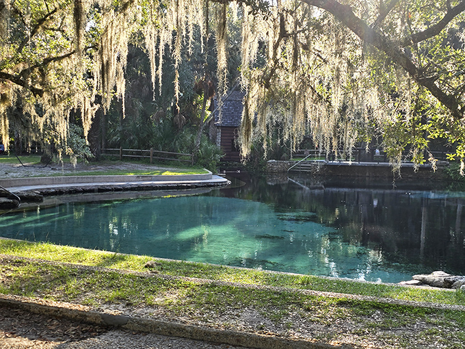 These trees frame prime waterfront property like a scene to behold, proving even wildlife appreciates a good view.