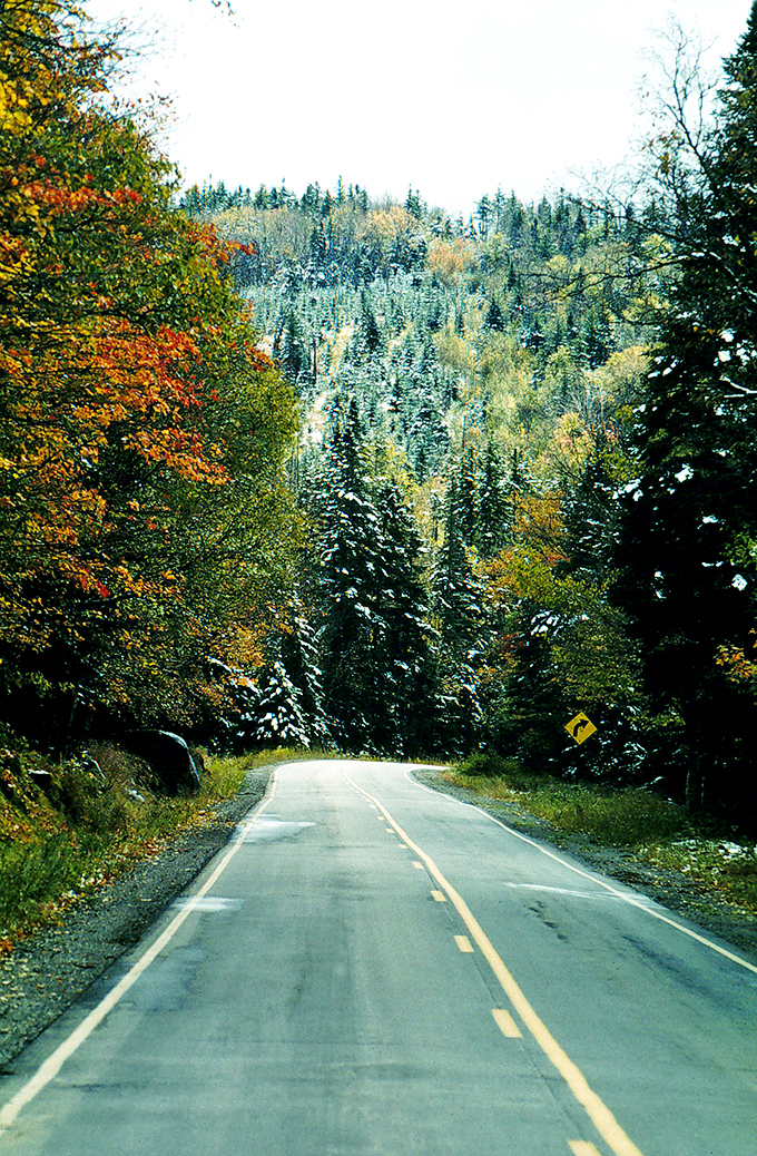 Fall meets winter in a spectacular collision of seasons, where snow-dusted evergreens stand among autumn's last hurrah.