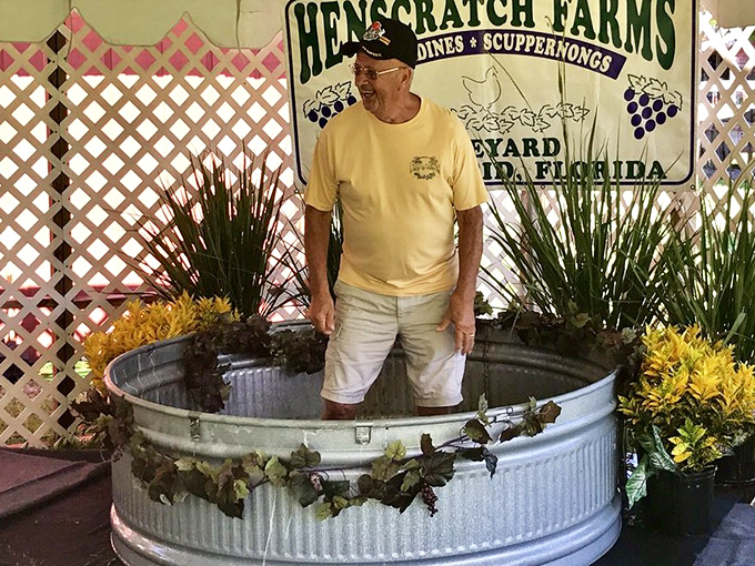 Ever channeled your inner Lucille Ball? Grape stomping offers messy fun and Instagram-worthy moments that'll have friends asking, "You did WHAT in Florida?"