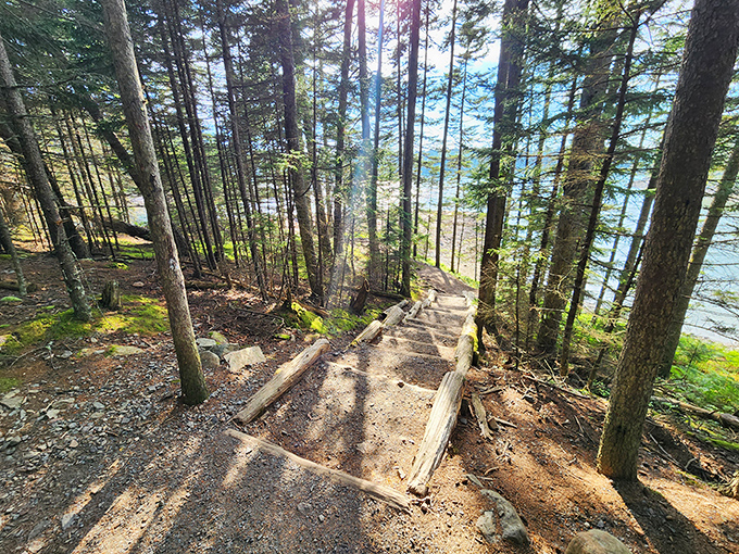 Wooden steps guide you down to discovery, where each descent brings you closer to the rhythm of the Atlantic.