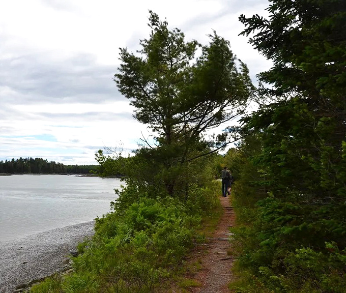 The trail offers gentle terrain for hikers of all abilities, proving you don't need mountain peaks to reach natural heights.