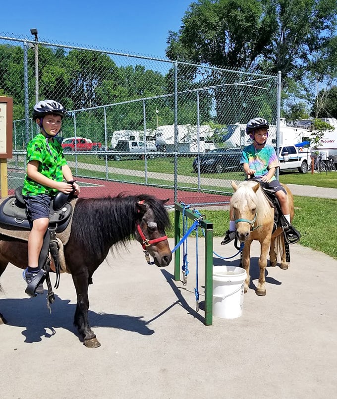 Young equestrians discover the thrill of horseback riding, guided by gentle steeds who understand their precious cargo.