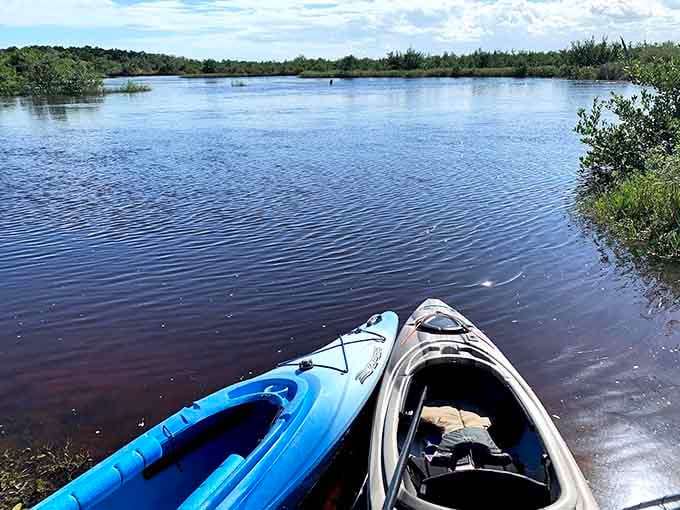 Those kayaks aren't just sitting there looking photogenic, they're your ticket to exploring waterways at the perfect pace for actually seeing the manatees and dolphins everyone keeps talking about.