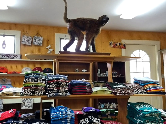 Souvenirs and gifts for every taste fill the shelves, ensuring no one leaves empty-handed from this treasure trove of Maine memorabilia.