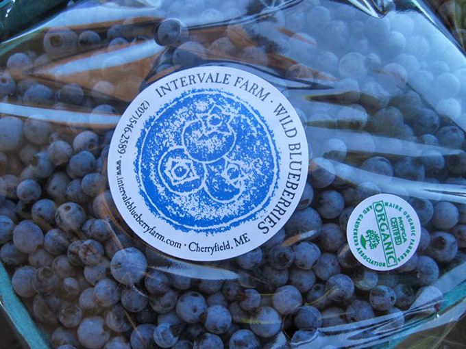 Organic certification isn't just a label at Intervale Farm &ndash; it's a philosophy that guides every aspect of their berry production.