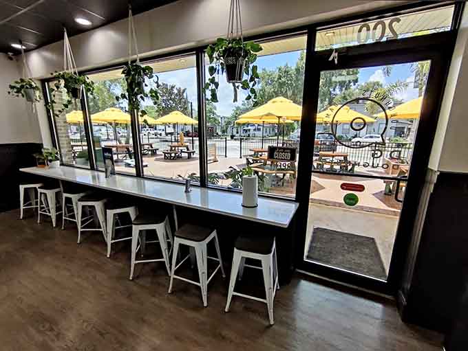 Another angle of doughnut paradise, where hanging plants add life and those big "DG" letters remind you exactly where happiness lives.