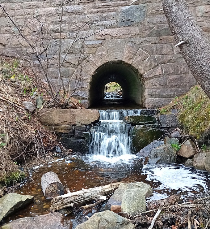 Historic stonework channels a woodland stream under Park Loop Road, engineering from another era still serving modern explorers.