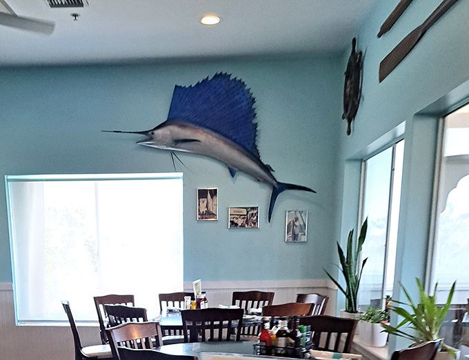 A mounted sailfish watches over diners, adding authentic nautical charm to the bright, airy dining space.