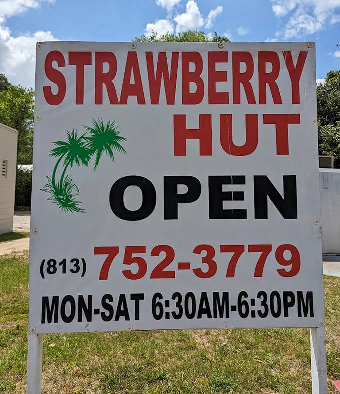 The Willows' iconic sign &ndash; Standing tall along the roadside, this wooden welcome has beckoned treasure hunters for years.