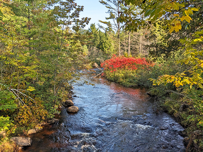Autumn paints this woodland stream in vibrant seasonal colors. Even water gets dressed up for fall in Maine &ndash; putting your "casual Friday" outfit to shame.