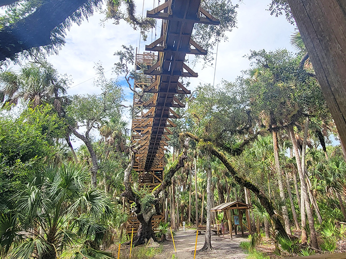 The suspended wooden footbridge sways ever so slightly with each step, adding a hint of adventure to your journey through the treetops.