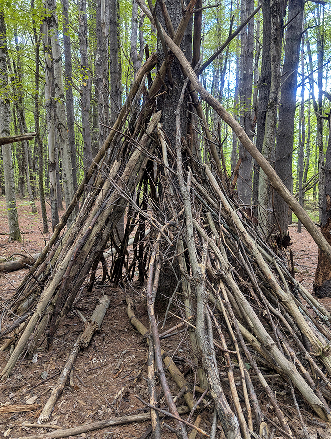 A teepee-style fort made from gathered branches stands in the forest, evidence of creative play in nature's backyard.