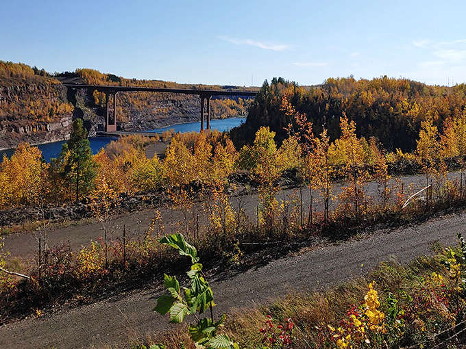Old Florida preserved: A sandy trail winds through native palms and vegetation, offering a glimpse into what coastal Florida looked like centuries ago.