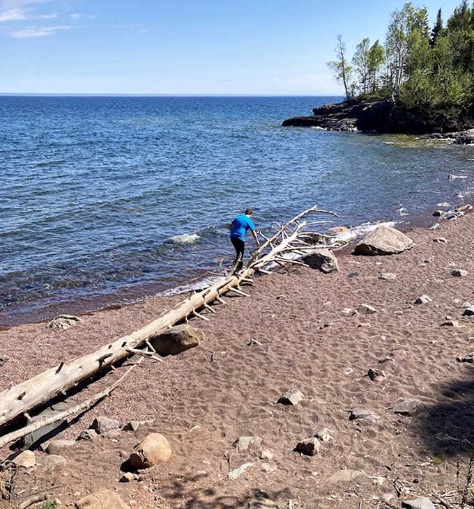 Driftwood sculptures punctuate the pink palette, bleached sentinels marking the ever-changing boundary between land and Great Lake.