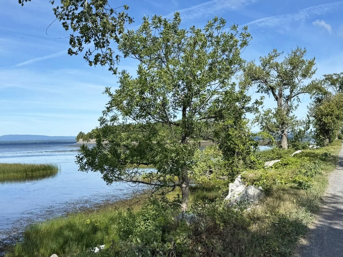 Lush greenery creates natural tunnels along certain stretches &ndash; offering welcome shade and framing picture-perfect views of the shimmering lake beyond.