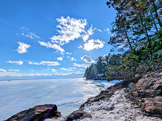 Sunlight filters through the canopy, creating a cathedral of green where bird songs replace hymns and breezes turn pages.