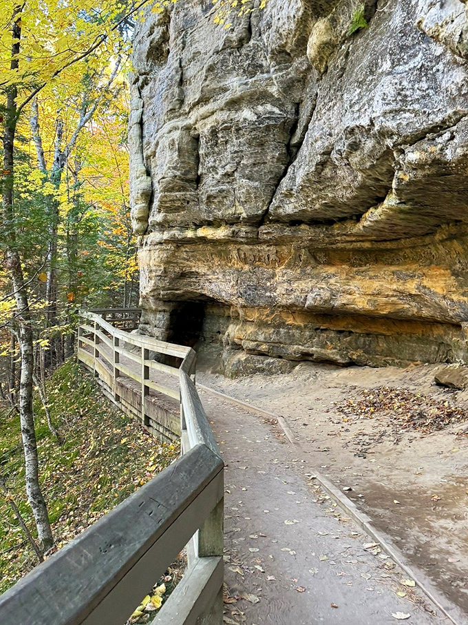 The wooden boardwalk invites exploration through Michigan's wilderness, a path promising adventures that Instagram filters couldn't possibly improve upon.