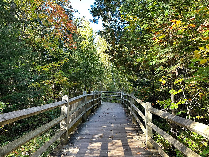 The park's well-maintained boardwalks invite visitors of all abilities to experience Michigan's wilderness up close, without requiring serious hiking boots.