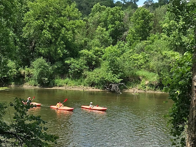 Kayakers enjoy a perfect summer day on the Cannon River, where gentle currents and overhanging trees create nature's perfect lazy river ride.