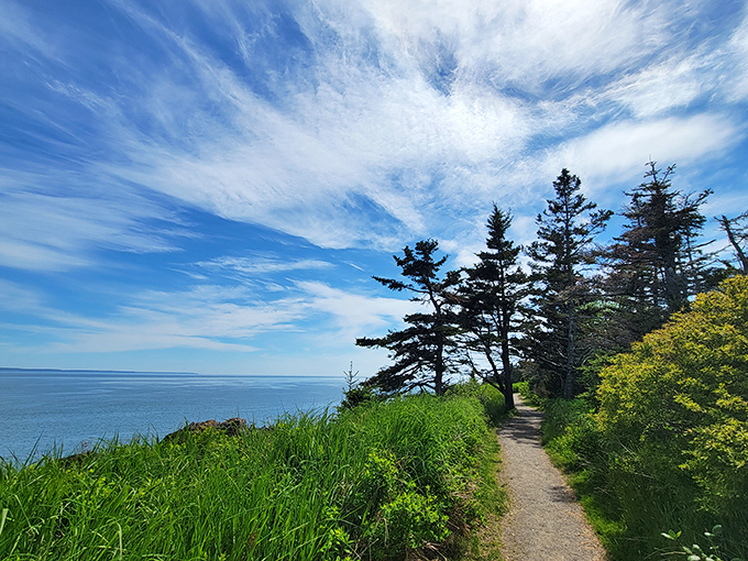 Maine's coastal state parks offer trails with breathtaking ocean views and refreshing sea breezes, perfect for summer exploration.