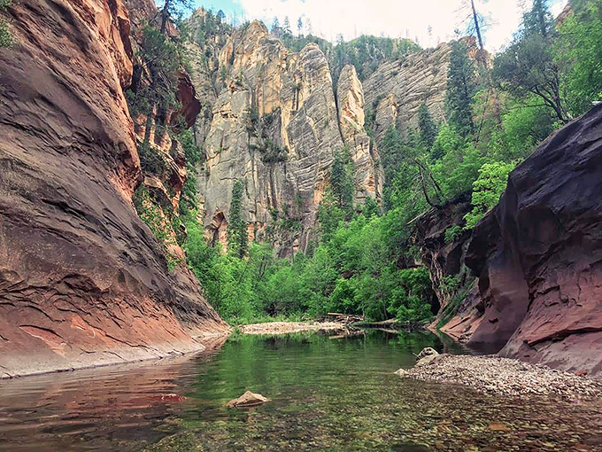 West Fork Trail's towering canyon walls frame a peaceful creek, creating a lush oasis where water, stone, and greenery meet in perfect harmony.