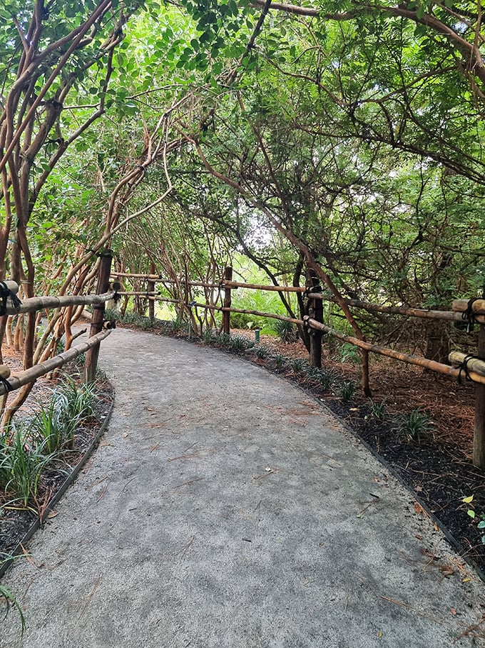Water lilies float on a reflective pond at Morikami, creating a scene worthy of Monet's paintbrush in this peaceful Japanese-inspired sanctuary.