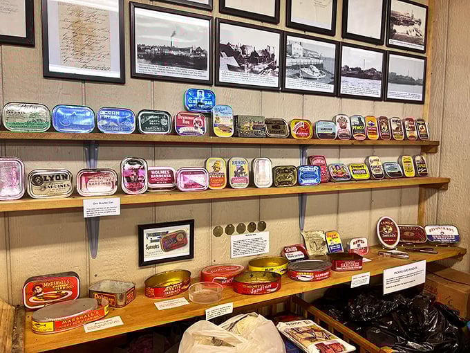 Colorful sardine tins from different eras line the shelves, telling the story of Maine's fishing heritage through their evolving designs.