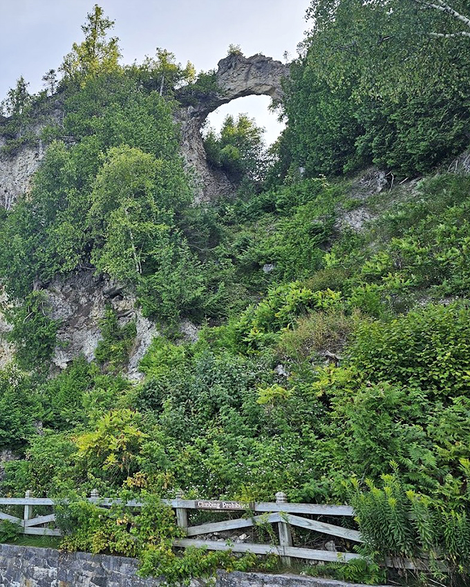 Looking up from below reveals the arch's true scale, where ancient seabed transformed into one of Michigan's most photographed natural wonders.