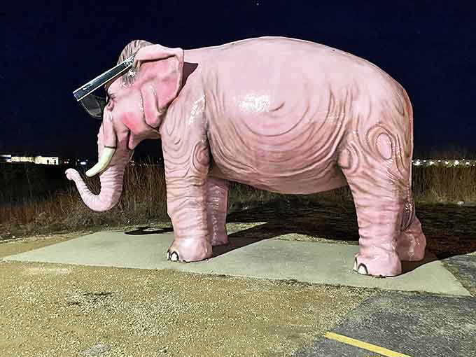 Even at night, Pinkie maintains its vigil, proving that dedication to bringing joy is a 24-hour commitment for this elephant.